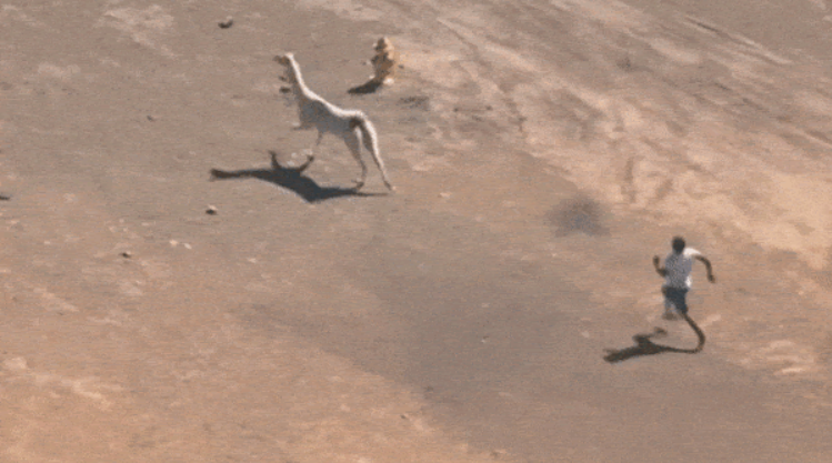 How Meta's LLaMA NLP Model Leaked